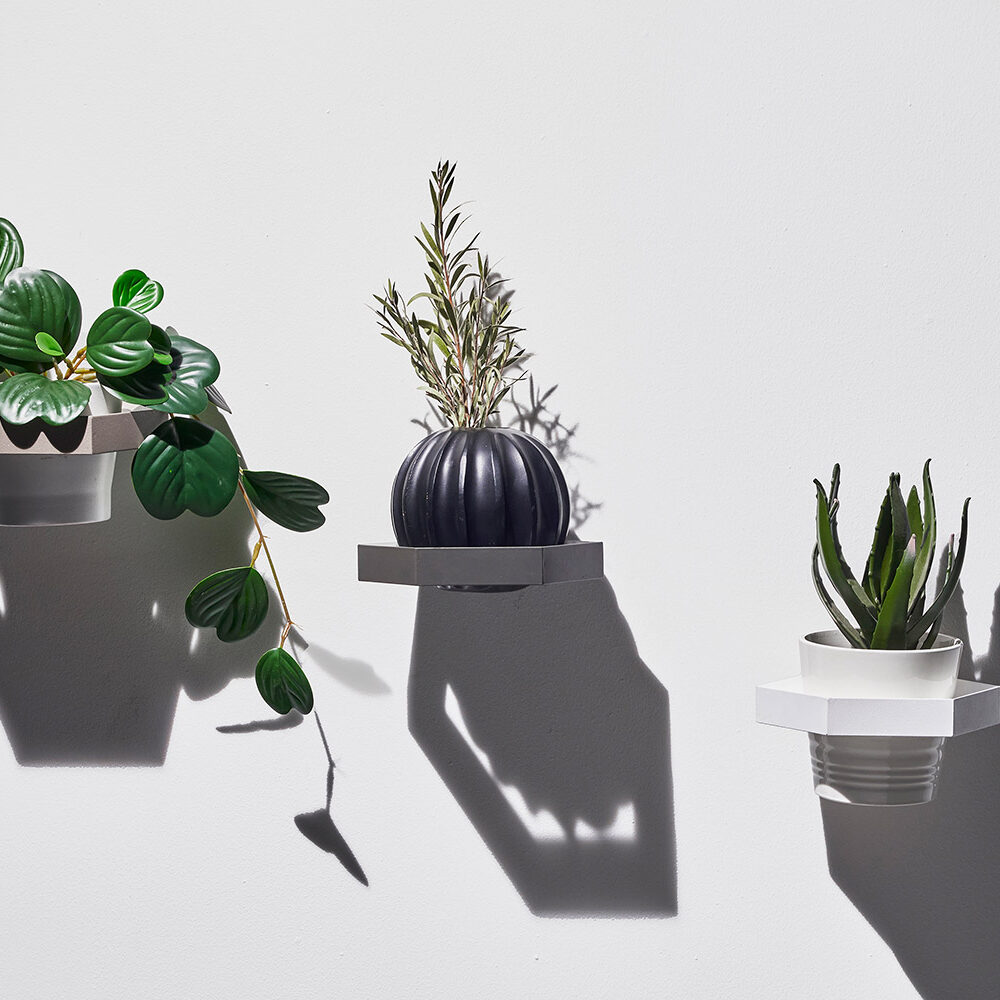 Hex Hanger - Kochuu Create