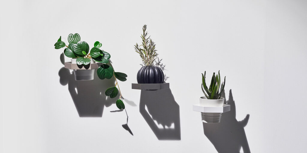 Hex Hanger - Kochuu Create